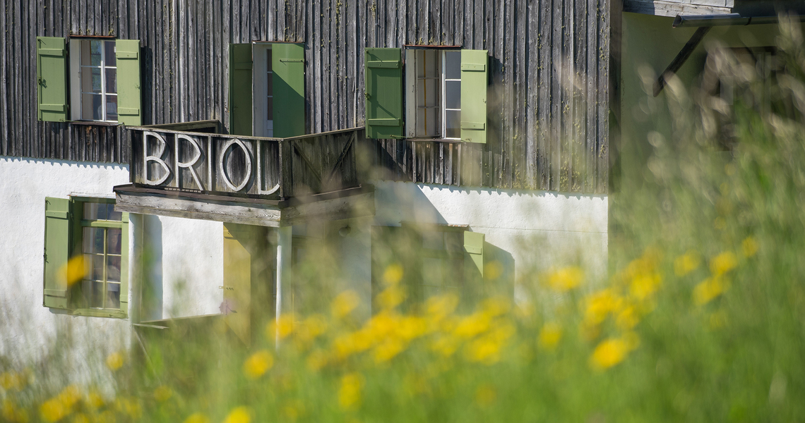 Briol - Barbiano, Italien | Good Travel