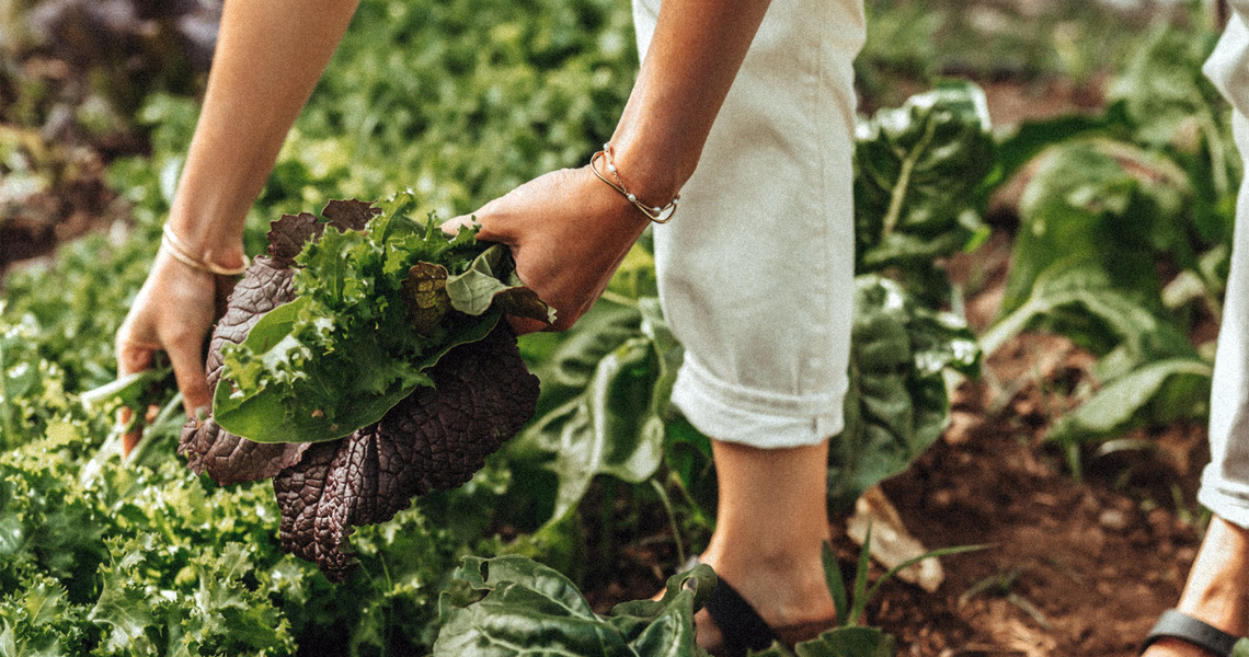 Finca El Quinto - Teneriffa, Spain | Good Travel