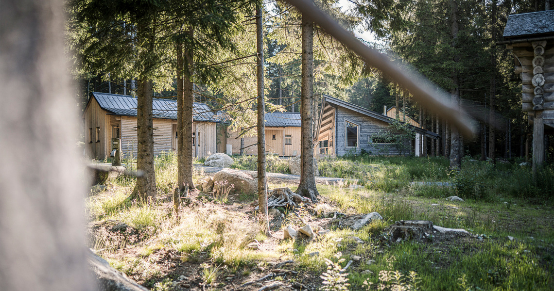 Ramenai - Ulrichsberg, Österreich | Good Travel